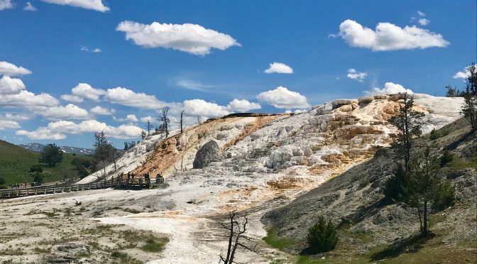 Sustaining Open - Bitstreams: The Digital Collections Blog