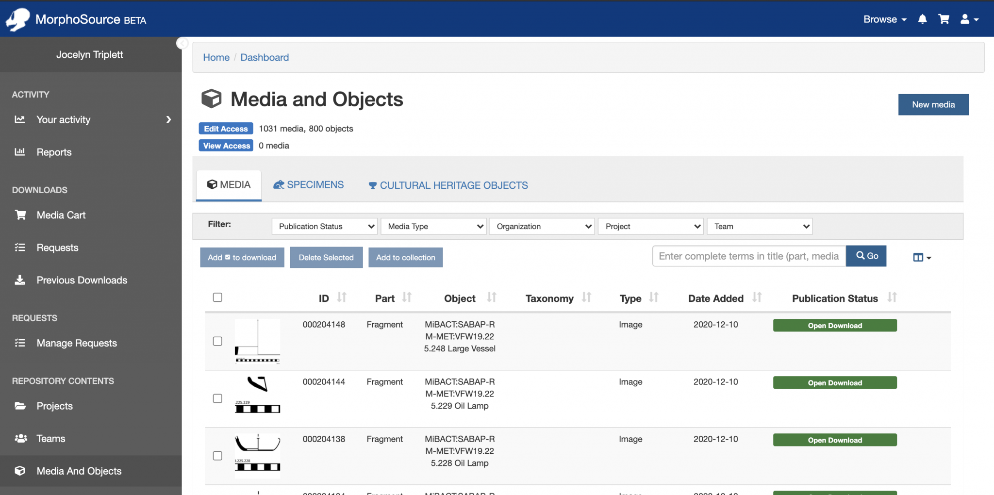 A Preview of MorphoSource 2 Beta - Bitstreams: The Digital Collections Blog