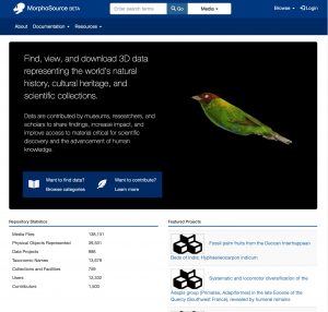 A Preview of MorphoSource 2 Beta - Bitstreams: The Digital Collections Blog