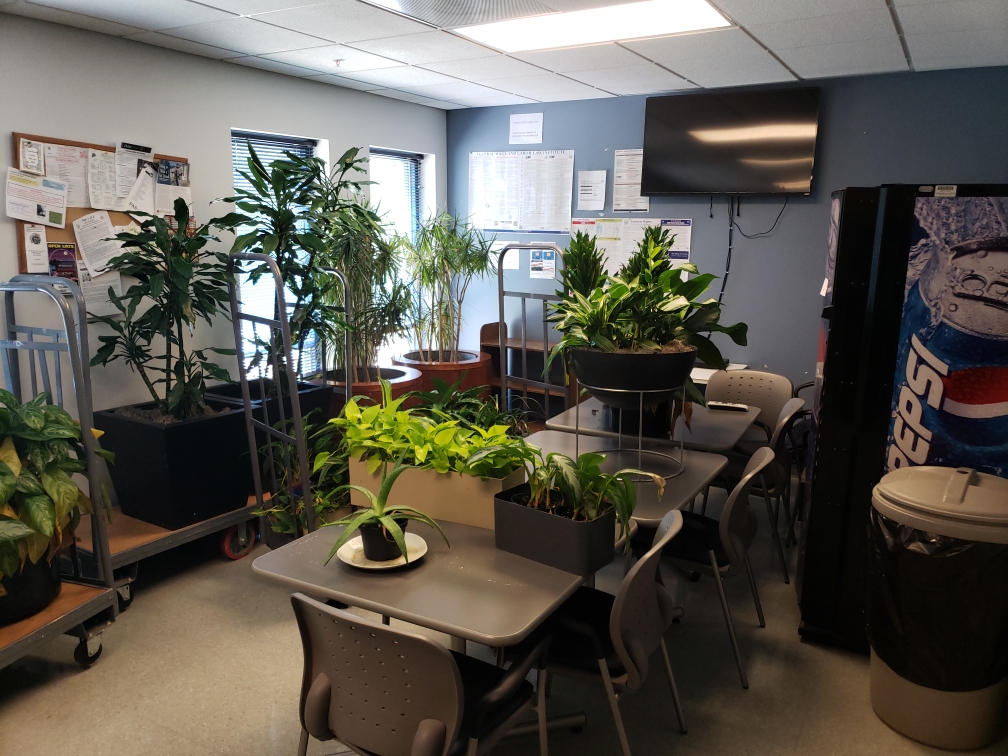 Living Through History - Duke University Libraries Magazine