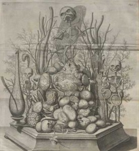 Frederik Ruysch's Anatomical Art - The Devil's Tale