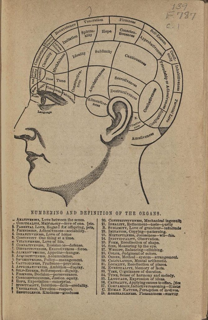The Phrenology of the Dukes - The Devil's Tale