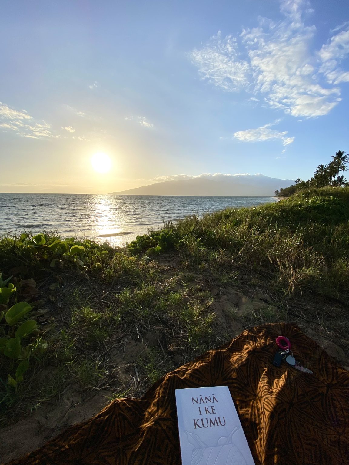 LIFE Summer Research Grant Reflections: An Approach to Reconciling Western Medicine with Native ...